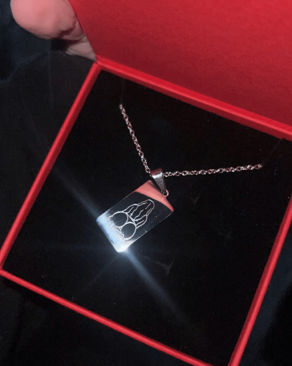 Spicy Custom Engraved Photo Tag Necklace with Personalized Text ...